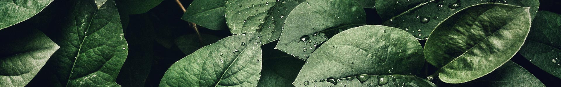 Diagona AB – Technical Engineering Solutions